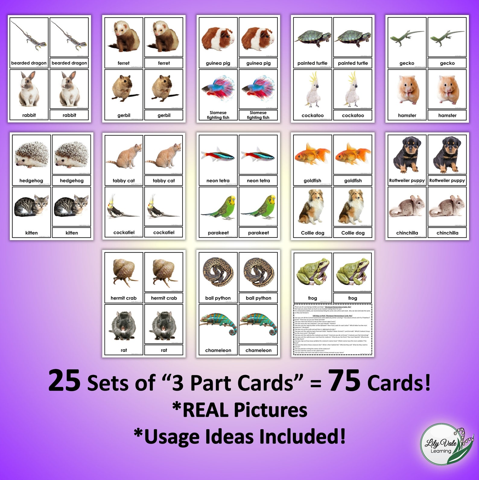 Printable Flashcards, Montessori Flashcards, Nomenclature Cards ...