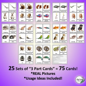 Printable Flashcards, Montessori Flashcards, Nomenclature Cards ...