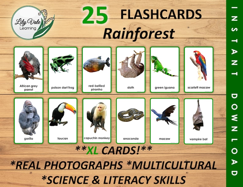 Flashcards, Printable Flashcard, Jungle Animal Card, Montessori ...