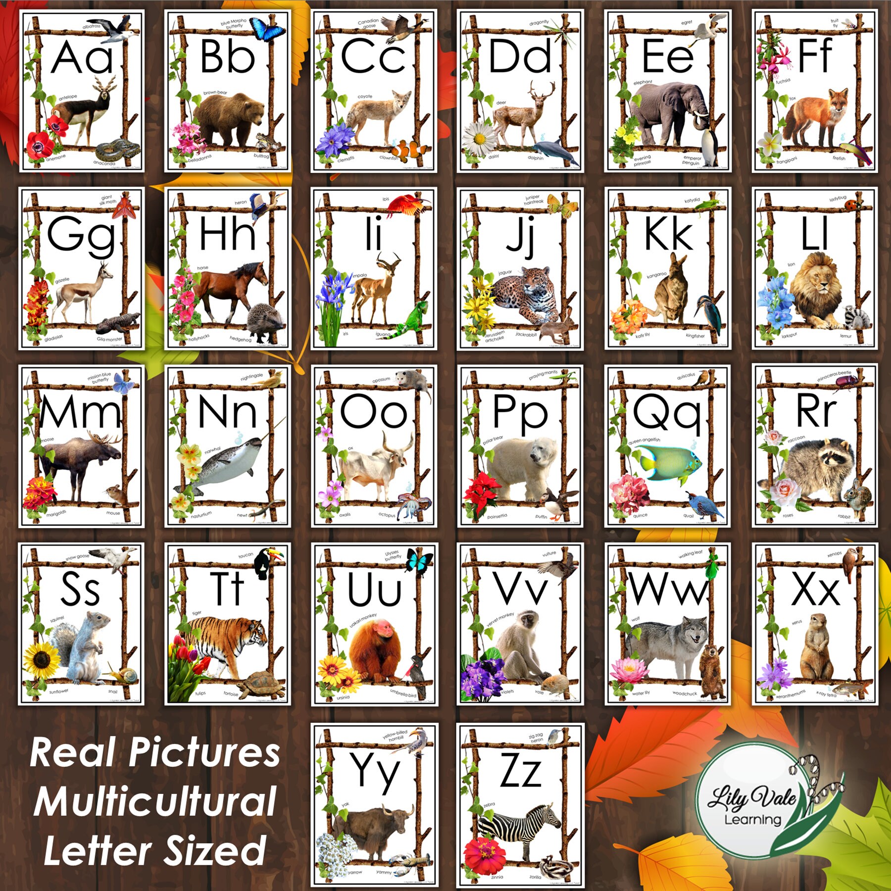 Alphabet Poster, Animal Alphabet, Montessori Classroom, Alphabet Chart ...