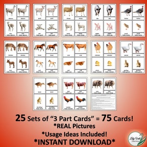 Printable Flashcards, Montessori Flashcards, Nomenclature Cards, Animal ...