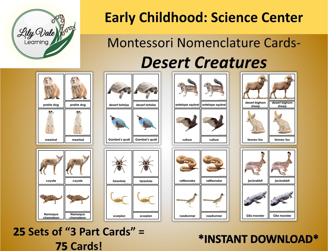 Printable Flashcards, Montessori Flashcard, Nomenclature Cards ...