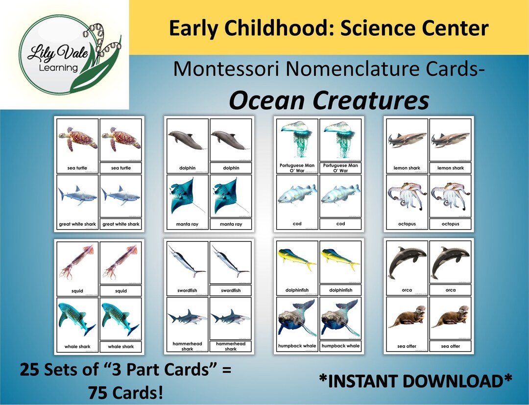 Printable Flashcards, OCEAN ANIMAL Printable, Montessori Flashcard ...