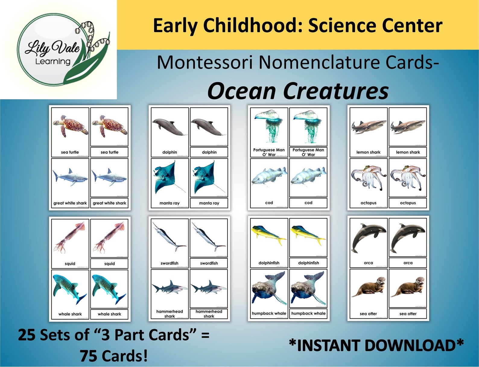 Printable Flashcards, OCEAN ANIMAL Printable, Montessori Flashcard ...