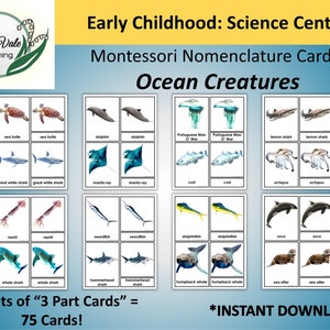 Printable Flashcards, OCEAN ANIMAL Printable, Montessori Flashcard ...