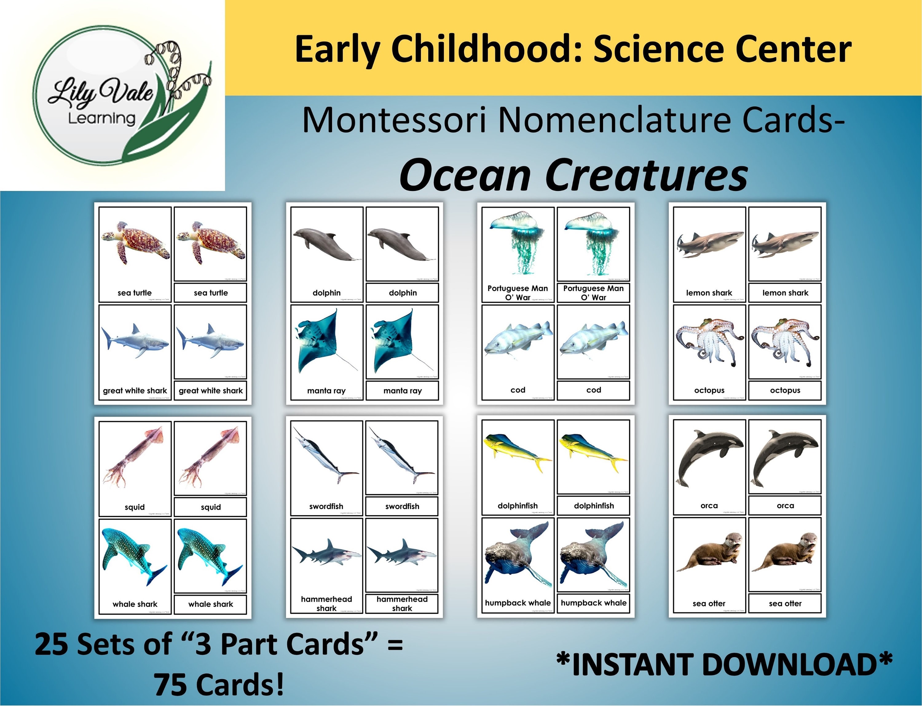 Printable Flashcards, OCEAN ANIMAL Printable, Montessori Flashcard ...