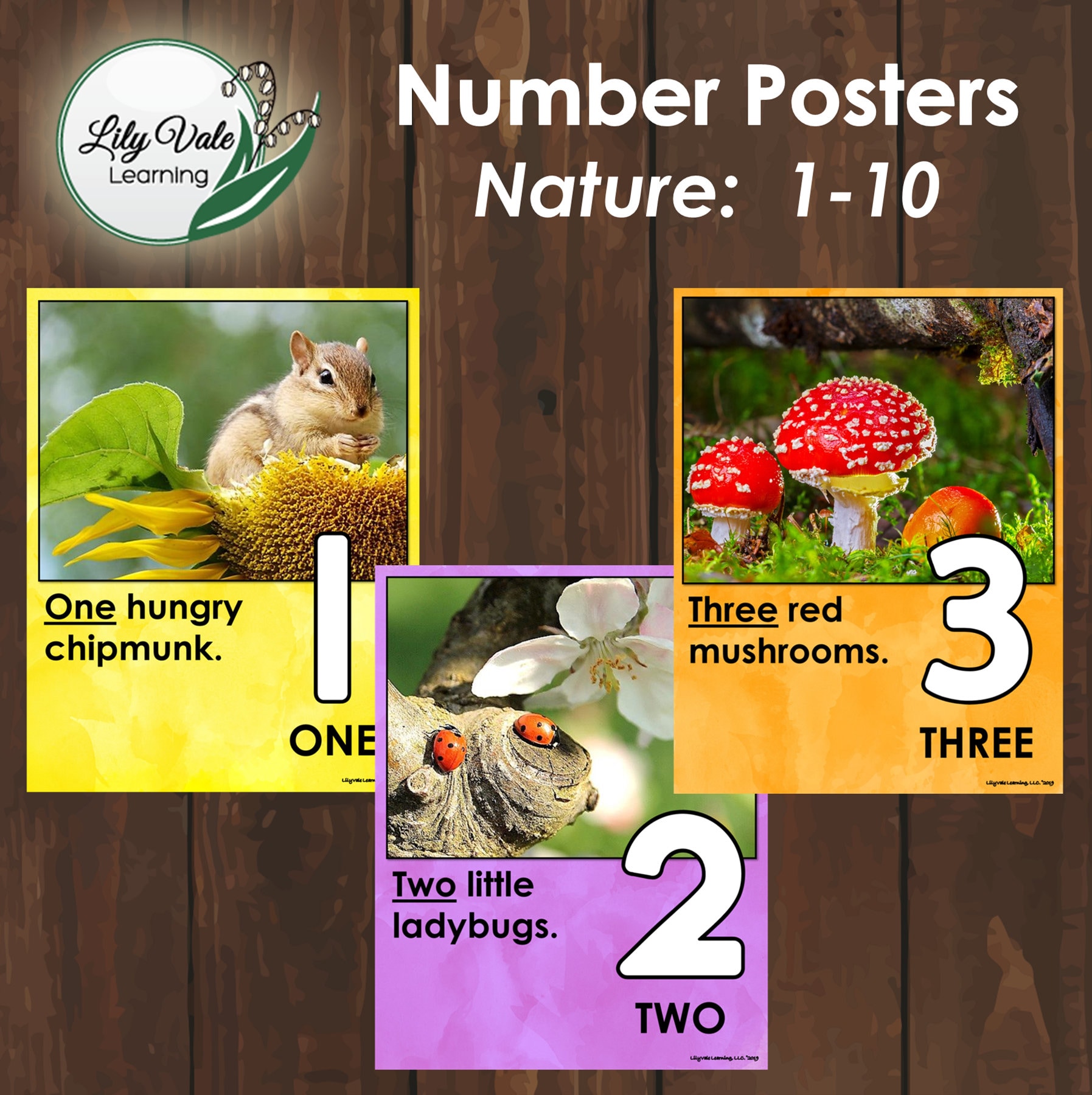 Number Posters, Number Learning, Preschool Math, Montessori Numbers ...