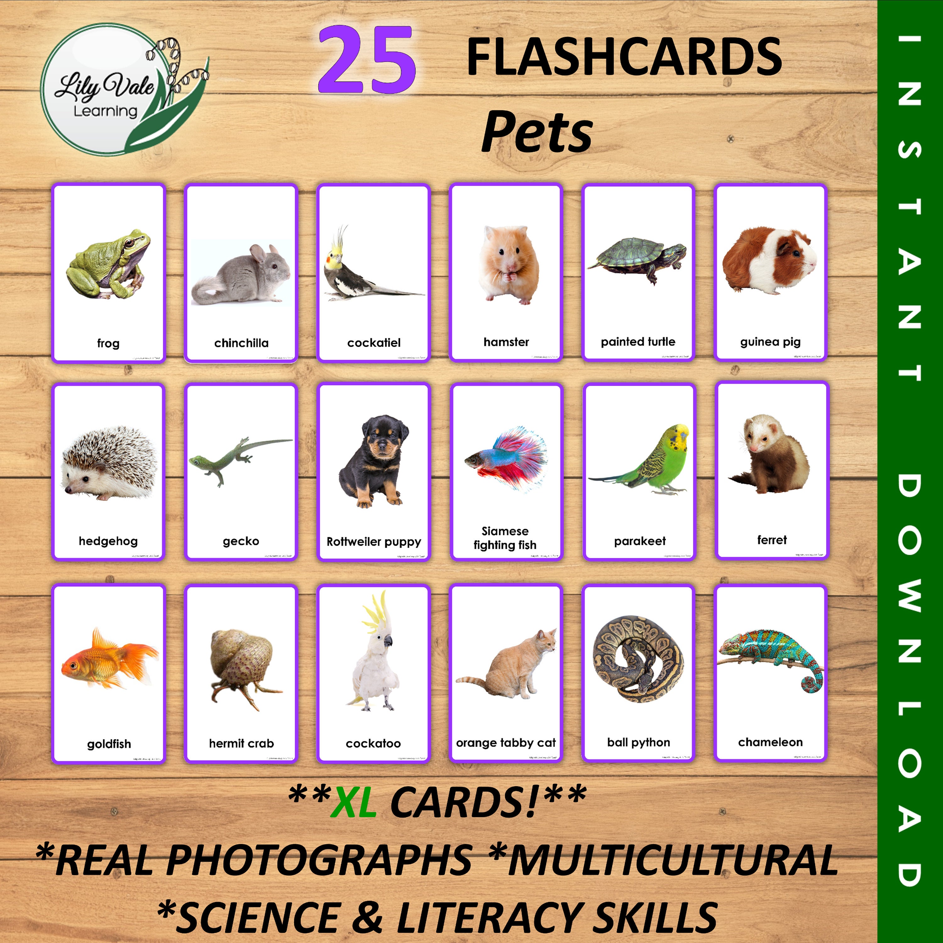 Flashcards, Printable Flashcards, Montessori Flashcards, Animal ...