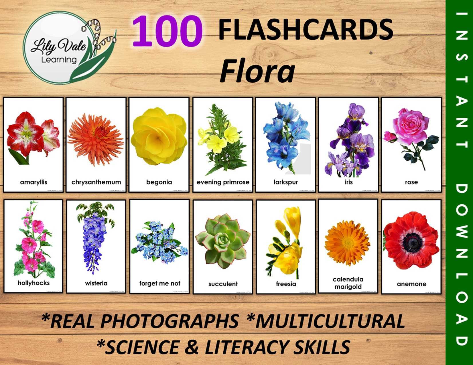 Printable Flashcard, Montessori Material, Montessori Printable Card ...