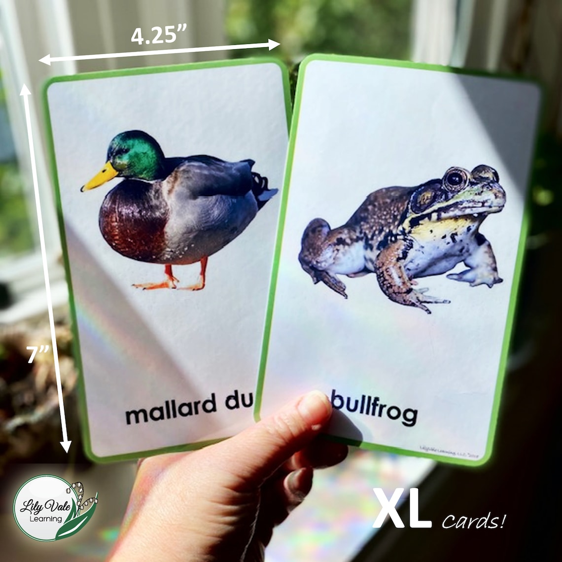 Printable Flashcards, Montessori Flashcards, Pond Animals, Animal ...