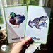 Printable Flashcards, Montessori Flashcards, Pond Animals, Animal ...