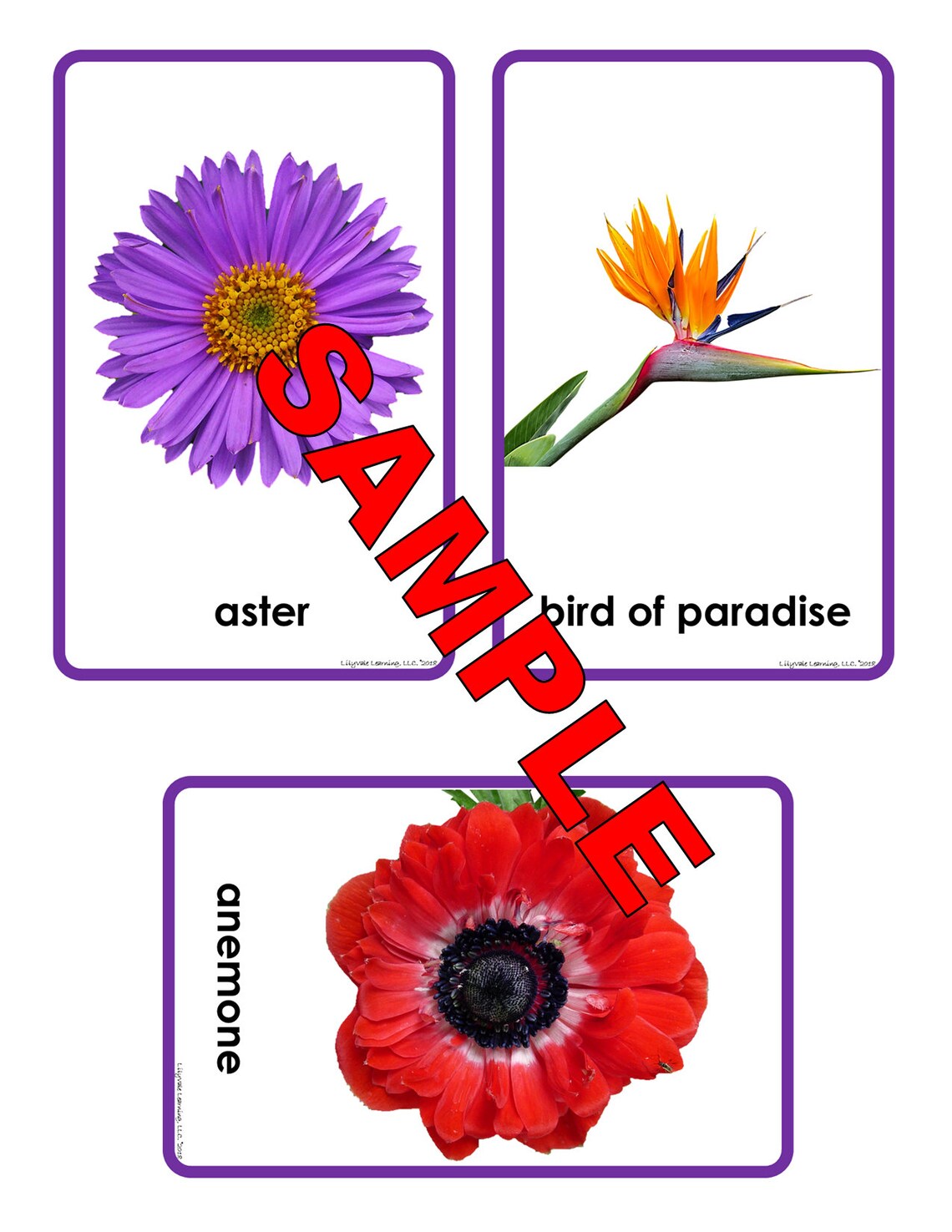 Printable Flashcard, Montessori Material, Montessori Printable Card ...