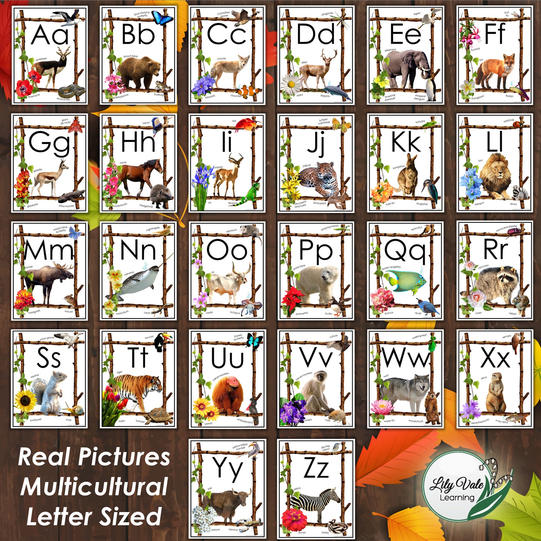 Alphabet Poster, Animal Alphabet, Montessori Classroom, Alphabet Chart ...