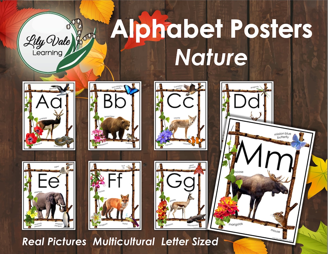 Alphabet Poster, Animal Alphabet, Montessori Classroom, Alphabet Chart ...