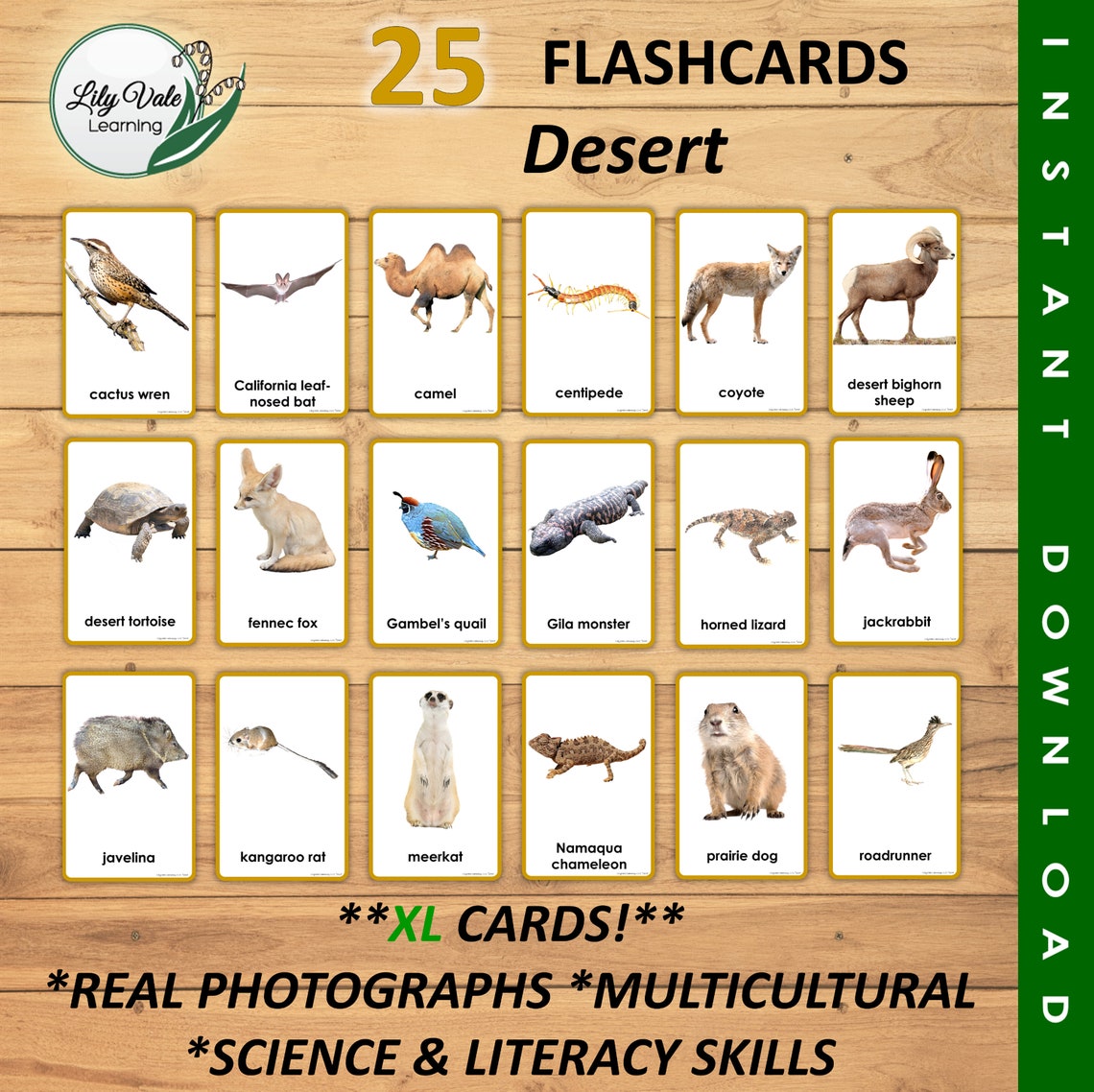 Flashcards, Printable Flashcard, Animal Learning Card, Desert Animal ...