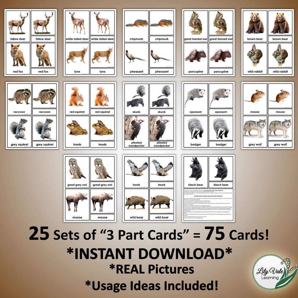 WOODLAND ANIMAL CARDS, Forest Animal Cards, Montessori Flashcards ...