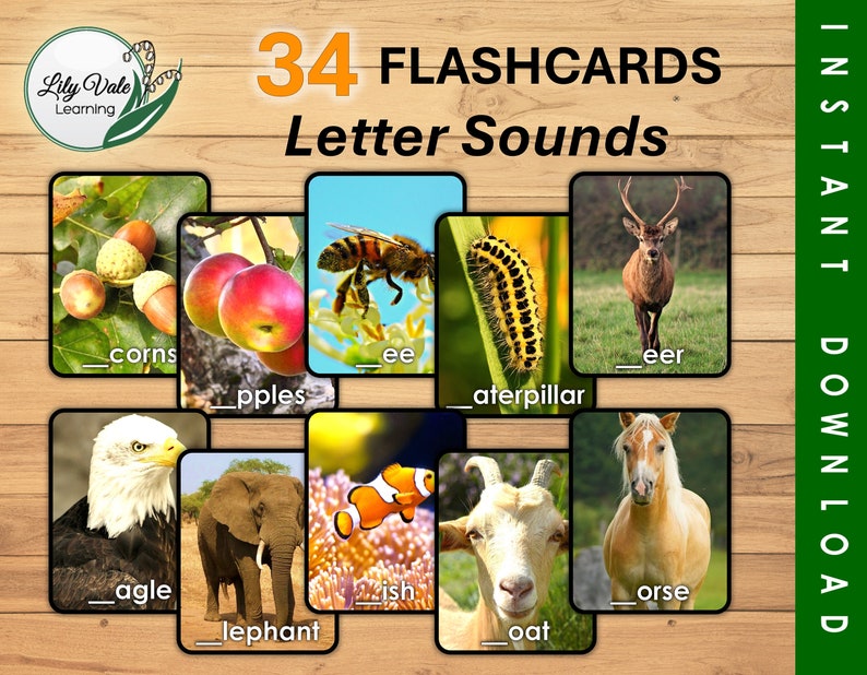 Flashcards, Printable Flashcards, Flashcards for Kids, Montessori ...