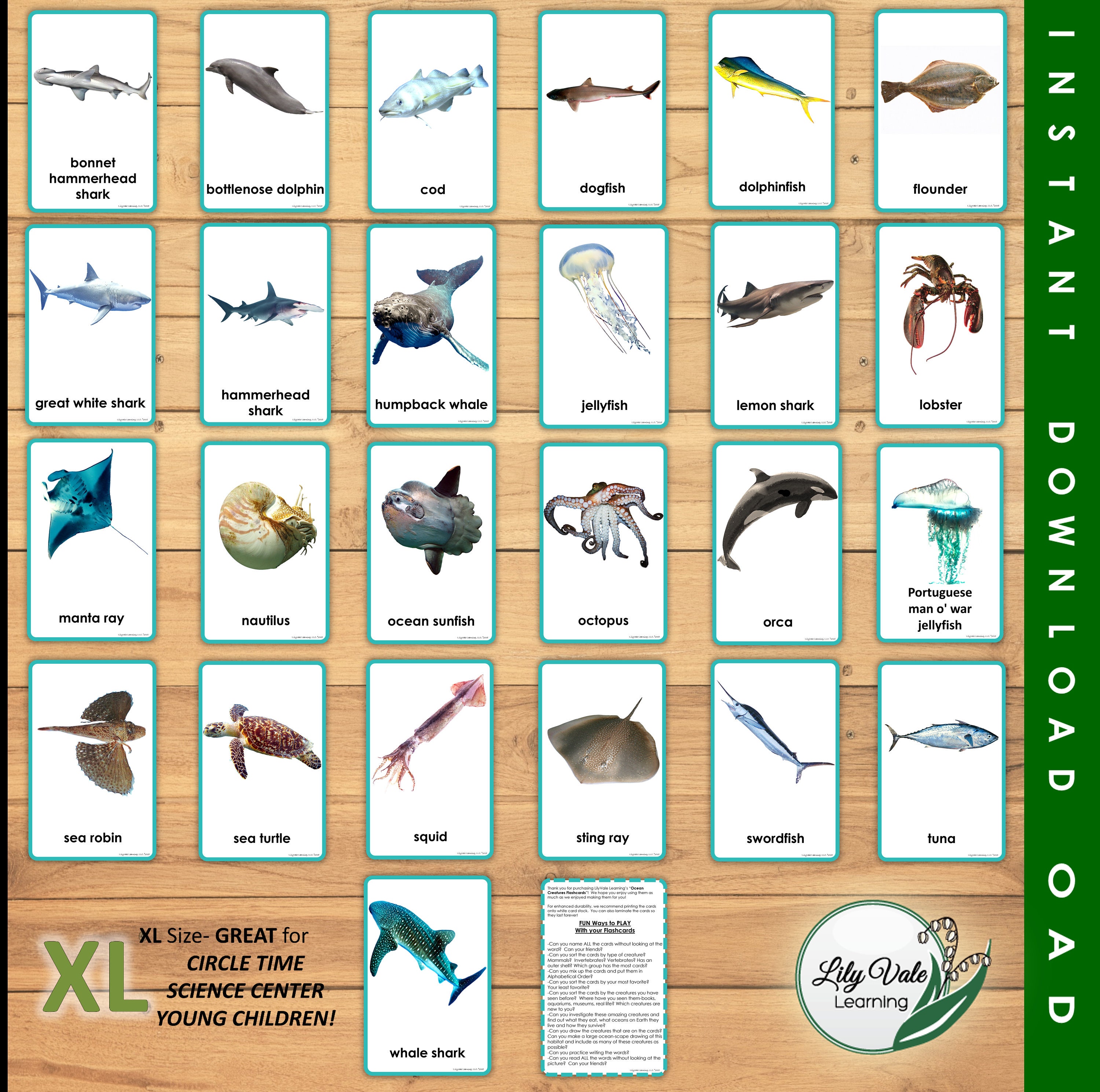 Printable Flashcards, Ocean Animal Printable, OCEAN ANIMAL FLASHCARDS ...