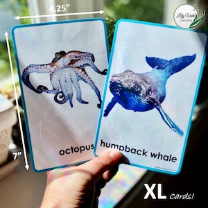 Printable Flashcards, Ocean Animal Printable, OCEAN ANIMAL FLASHCARDS ...
