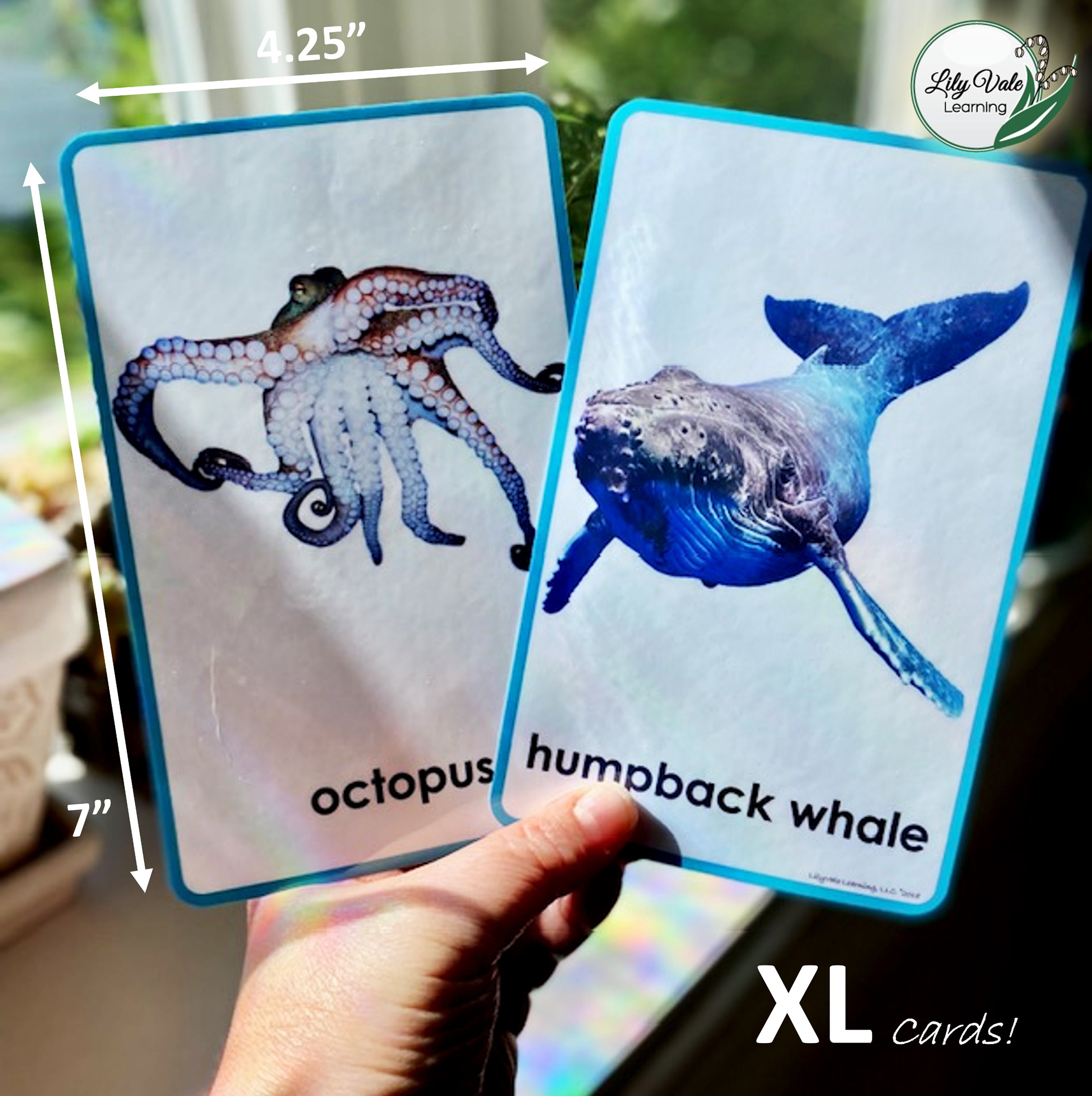 Printable Flashcards, Ocean Animal Printable, OCEAN ANIMAL FLASHCARDS ...