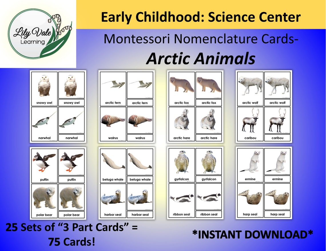 Printable Flashcards, Polar Animals, Montessori Flashcards, ARCTIC ...