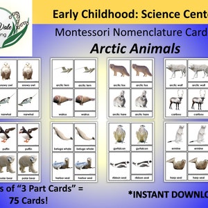 Printable Flashcards, Polar Animals, Montessori Flashcards, ARCTIC ...
