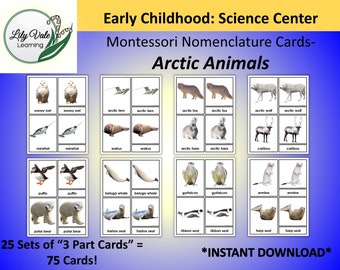 ARCTIC POLAR Animals • Montessori Cards • Flash Cards • Three Part ...