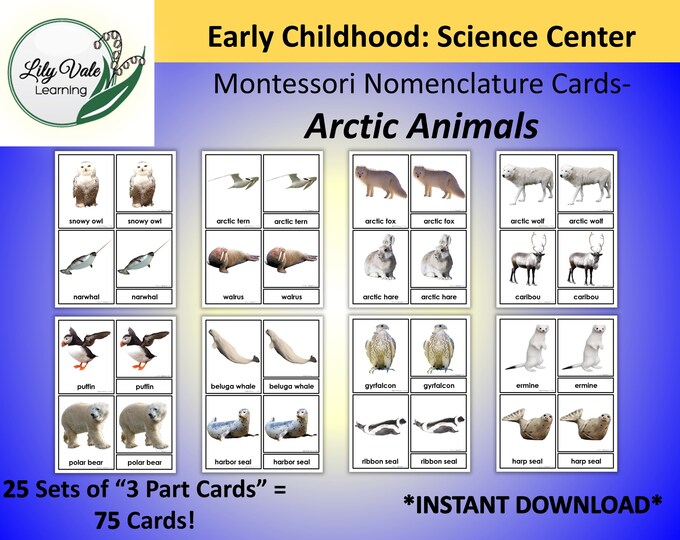 ARCTIC POLAR Animals • Montessori Cards • Flash Cards • Three Part ...