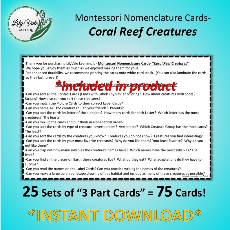 Printable Flashcards, Montessori Flashcards, Nomenclature Cards ...