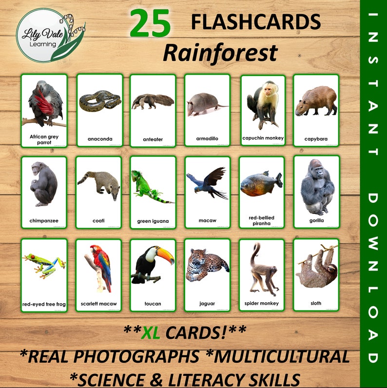 Flashcards, Printable Flashcard, Jungle Animal Card, Montessori ...