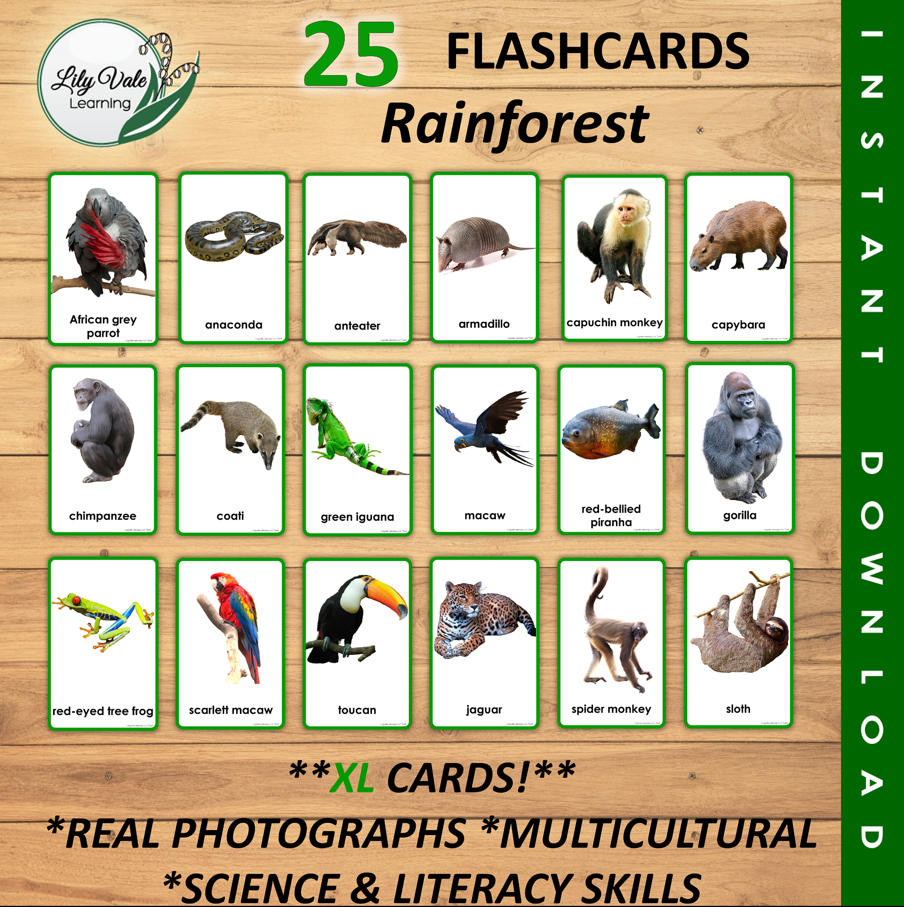 Flashcards, Printable Flashcard, Jungle Animal Card, Montessori ...