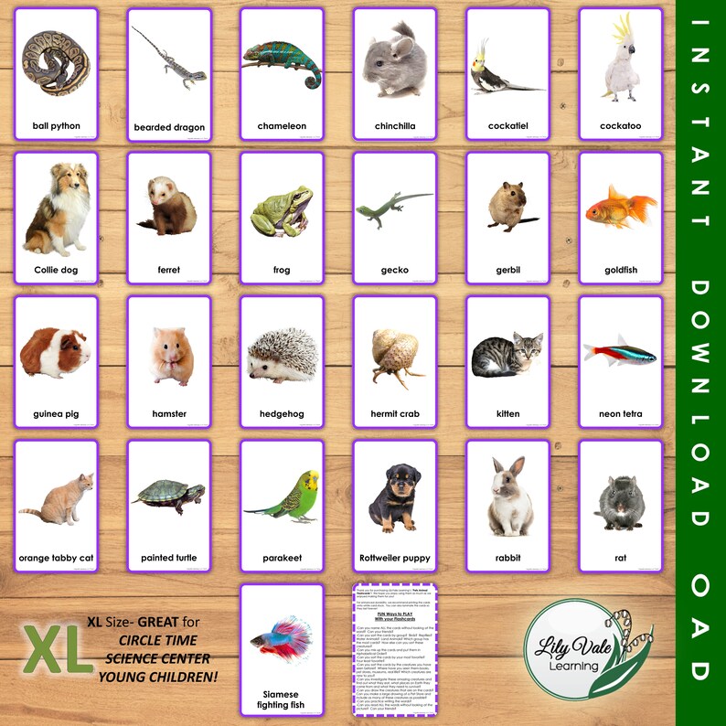 Flashcards, Printable Flashcards, Montessori Flashcards, Animal ...