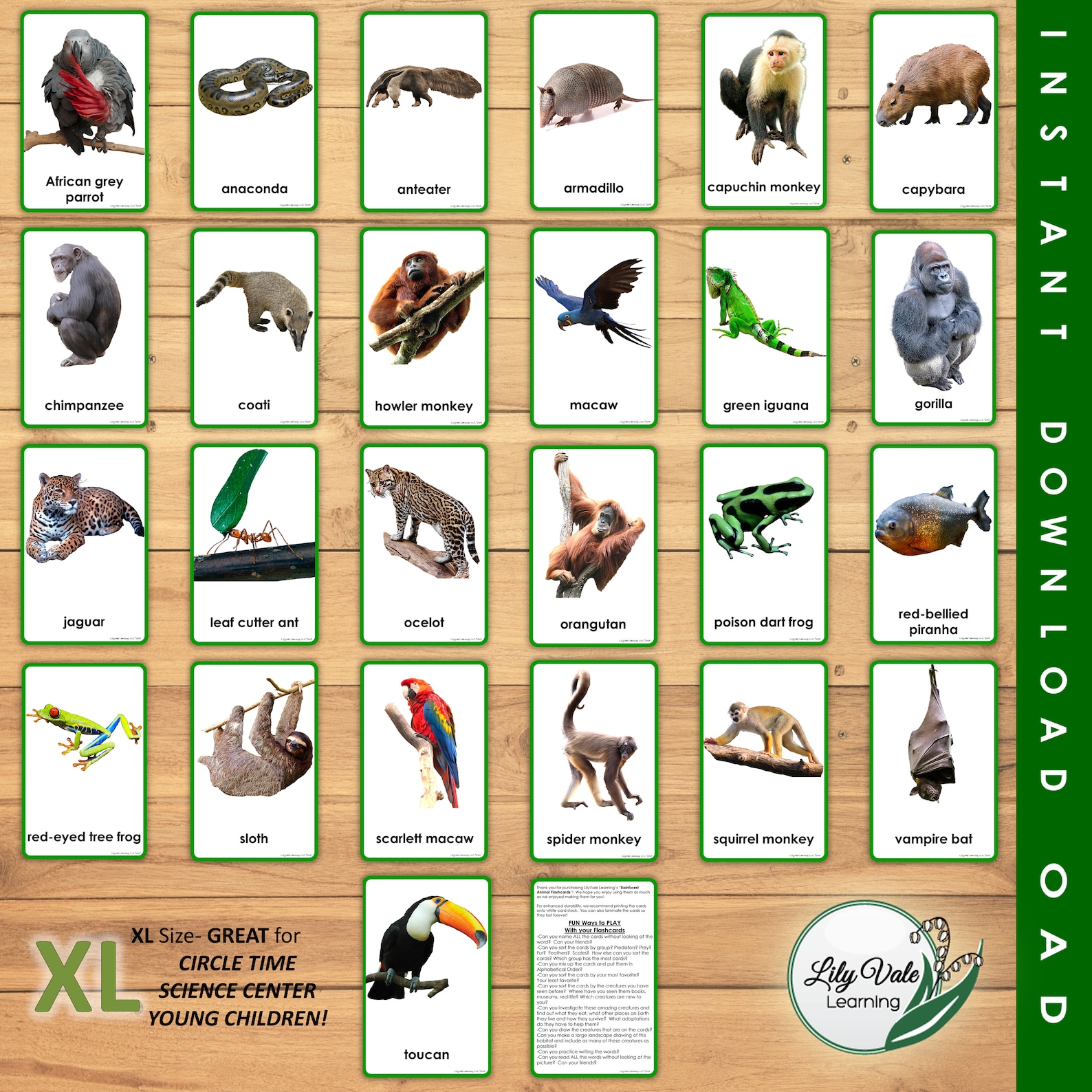 Flashcards, Printable Flashcard, Jungle Animal Card, Montessori ...