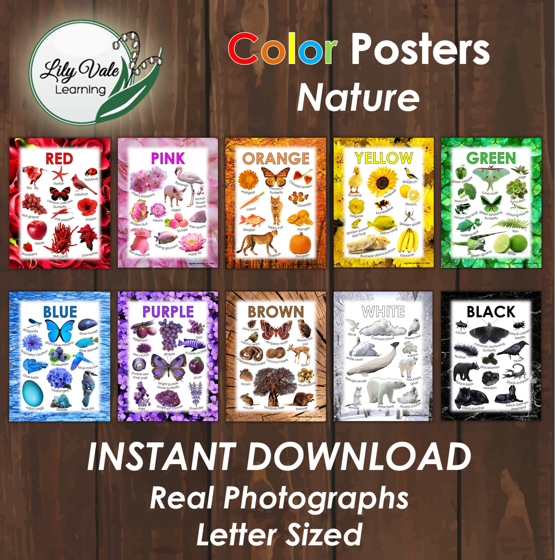 Color Learning, Montessori Classroom Decor, Nature Color Posters ...