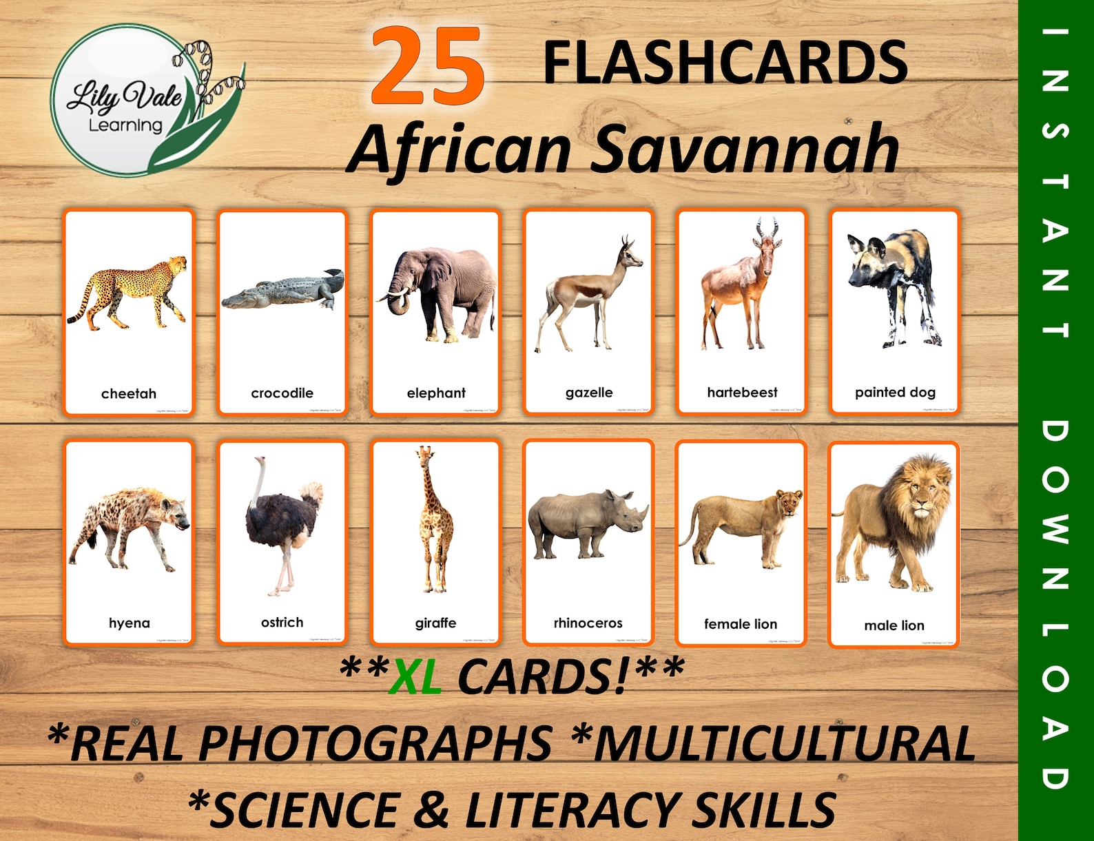 Flashcards, Printable Flashcards, African Animal Printable, Animal ...
