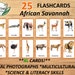 Flashcards, Printable Flashcards, African Animal Printable, Animal ...