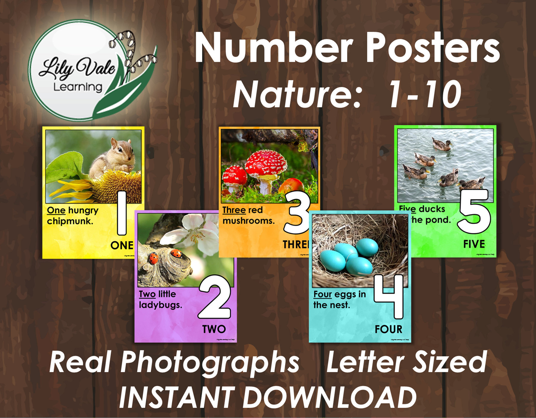 Number Posters, Number Learning, Preschool Math, Montessori Numbers ...