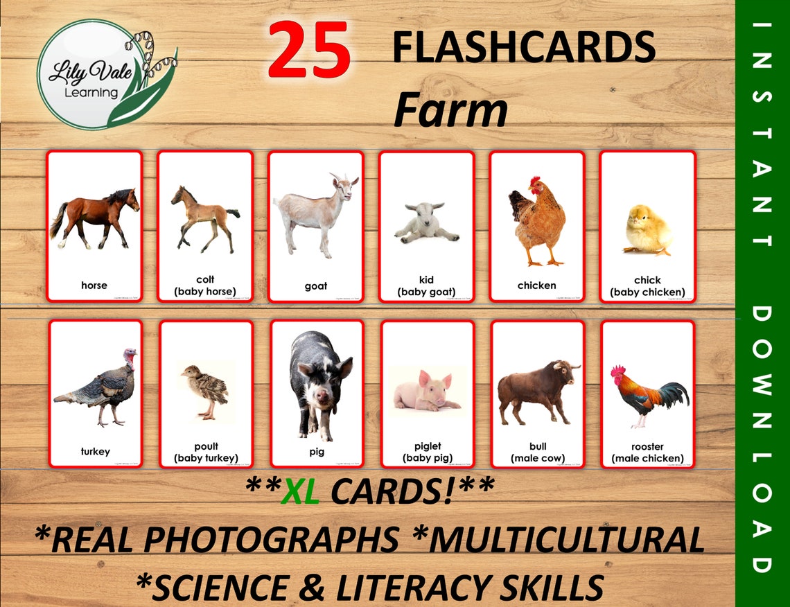 Farm Theme Printable, Farm Theme Cards, Animal Flashcards, Farm ...