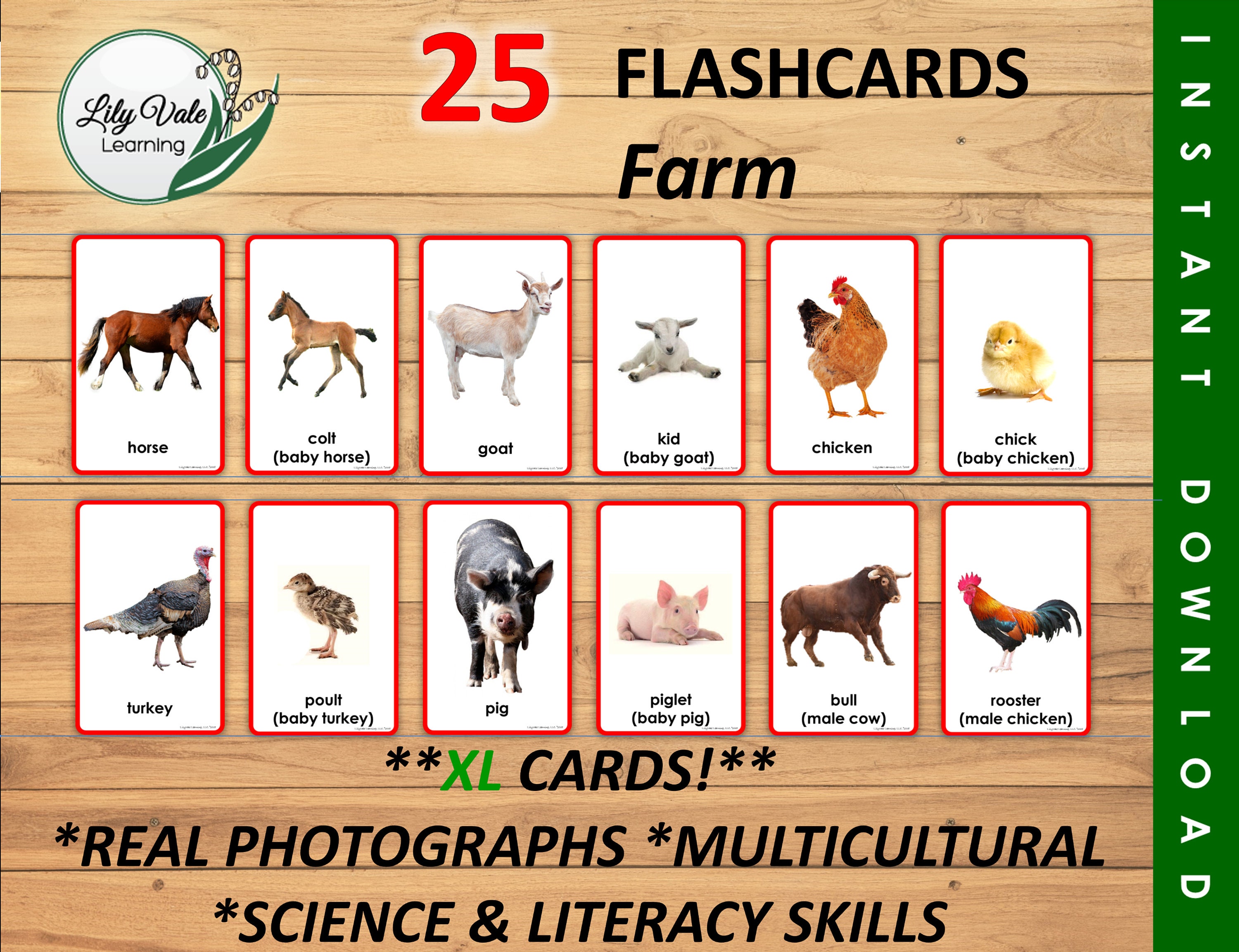 Farm Theme Printable, Farm Theme Cards, Animal Flashcards, Farm ...