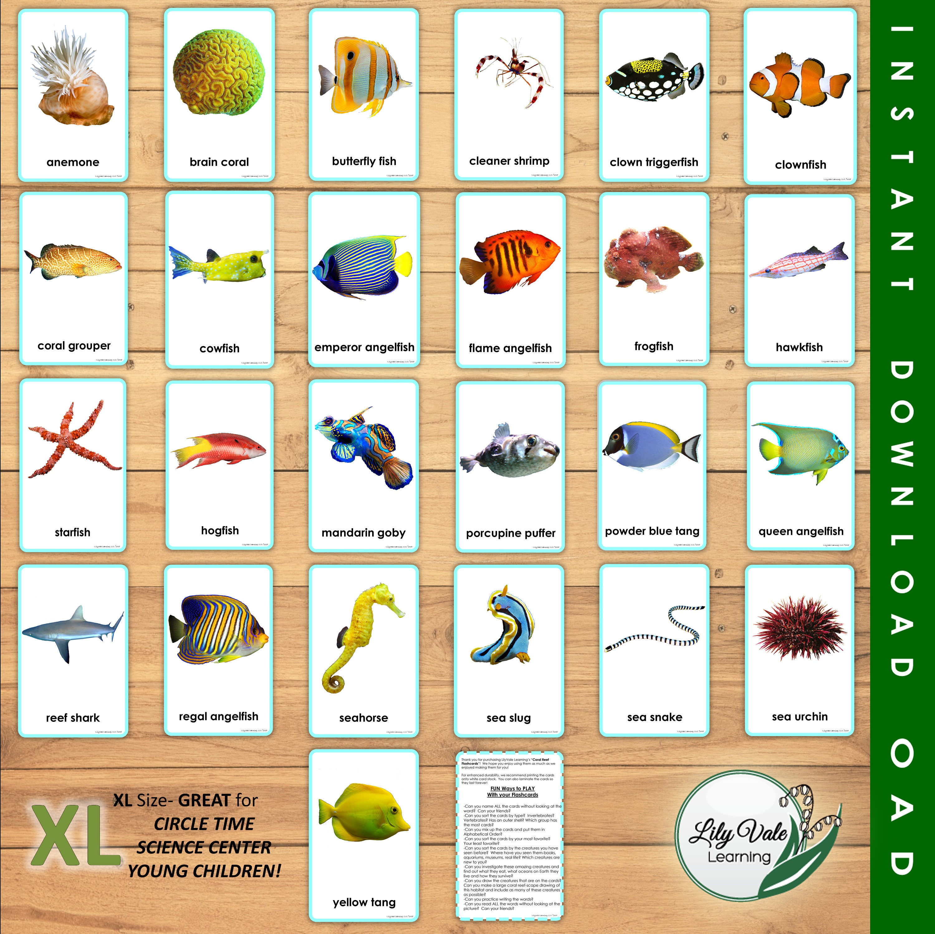 Flashcards, Printable Flashcards, Montessori Flashcard, Ocean Flashcard ...