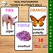 Flashcards, Printable Flashcards, Flashcards for Kids, Flashcards ...