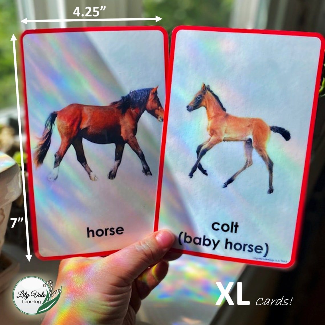 Farm Theme Printable, Farm Theme Cards, Animal Flashcards, Farm ...