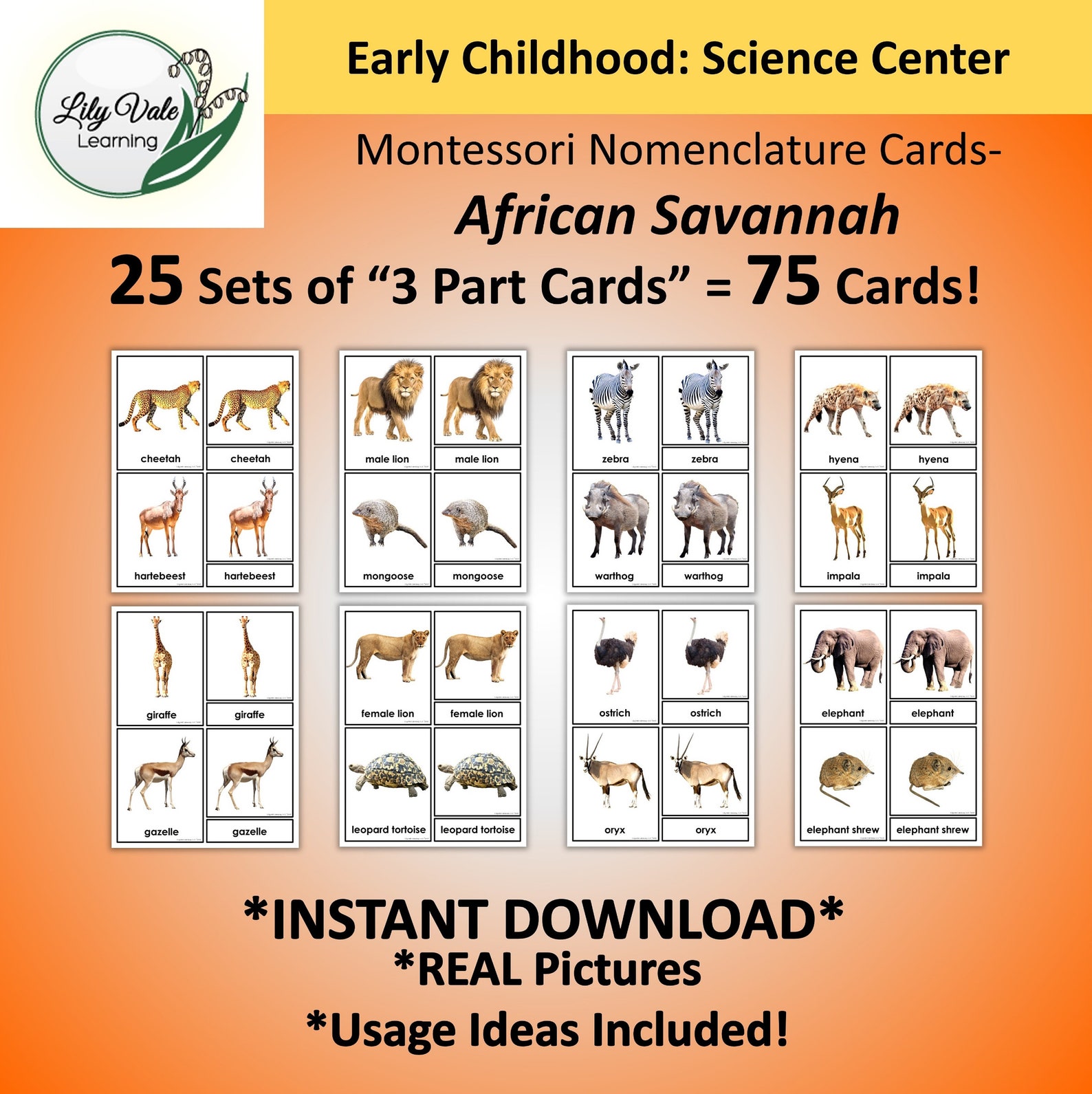 Printable Flashcards, Montessori Flashcards, AFRICAN ANIMALS PRINTABLE ...