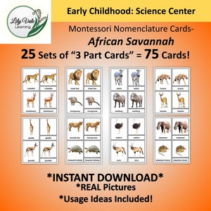 Printable Flashcards, Montessori Flashcards, AFRICAN ANIMALS PRINTABLE ...