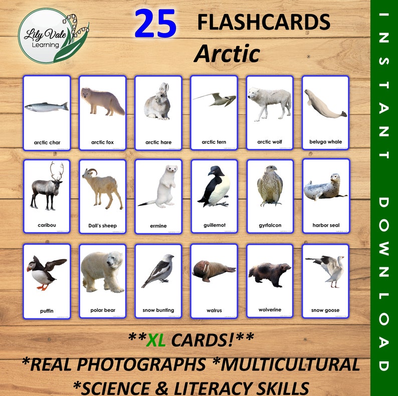 Polar Animals, Printable Flashcards, Arctic Animals, Montessori ...