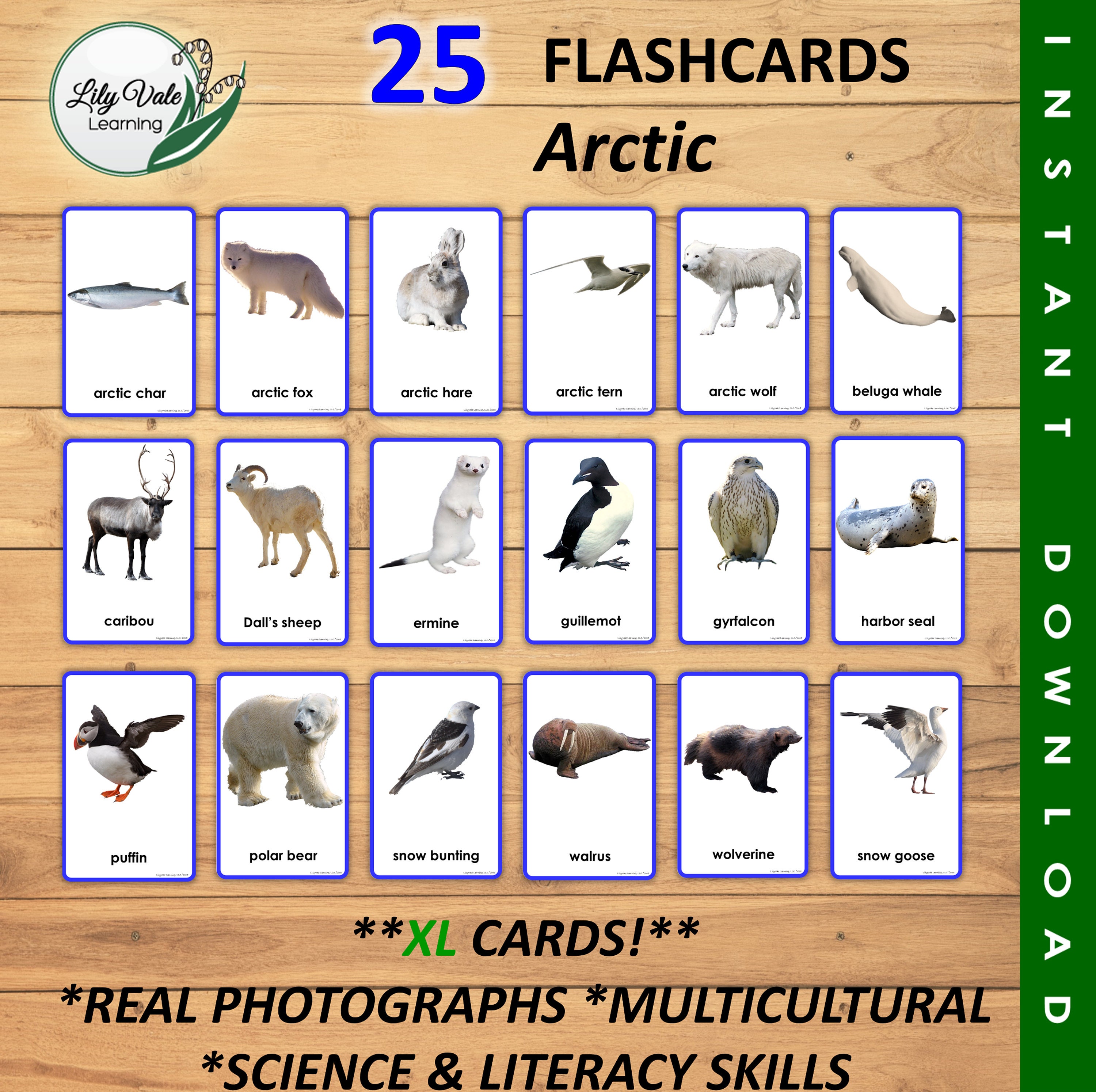 Polar Animals, Printable Flashcards, Arctic Animals, Montessori ...