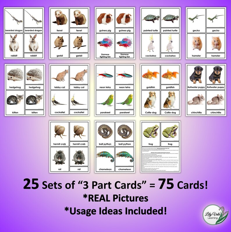 Printable Flashcards, Montessori Flashcards, Nomenclature Cards ...