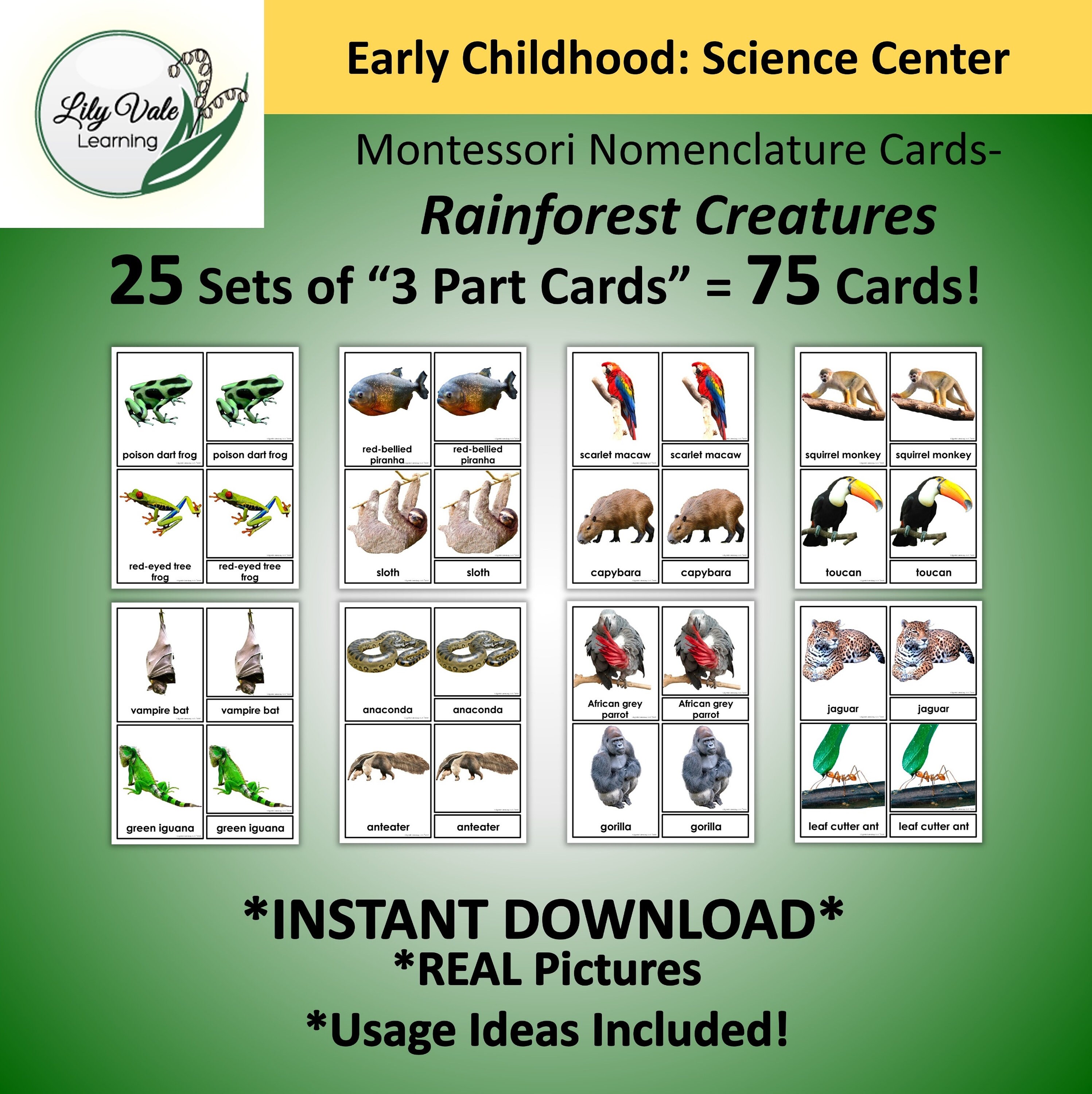 Printable Flashcards, JUNGLE Animal Cards, Montessori Flashcards ...