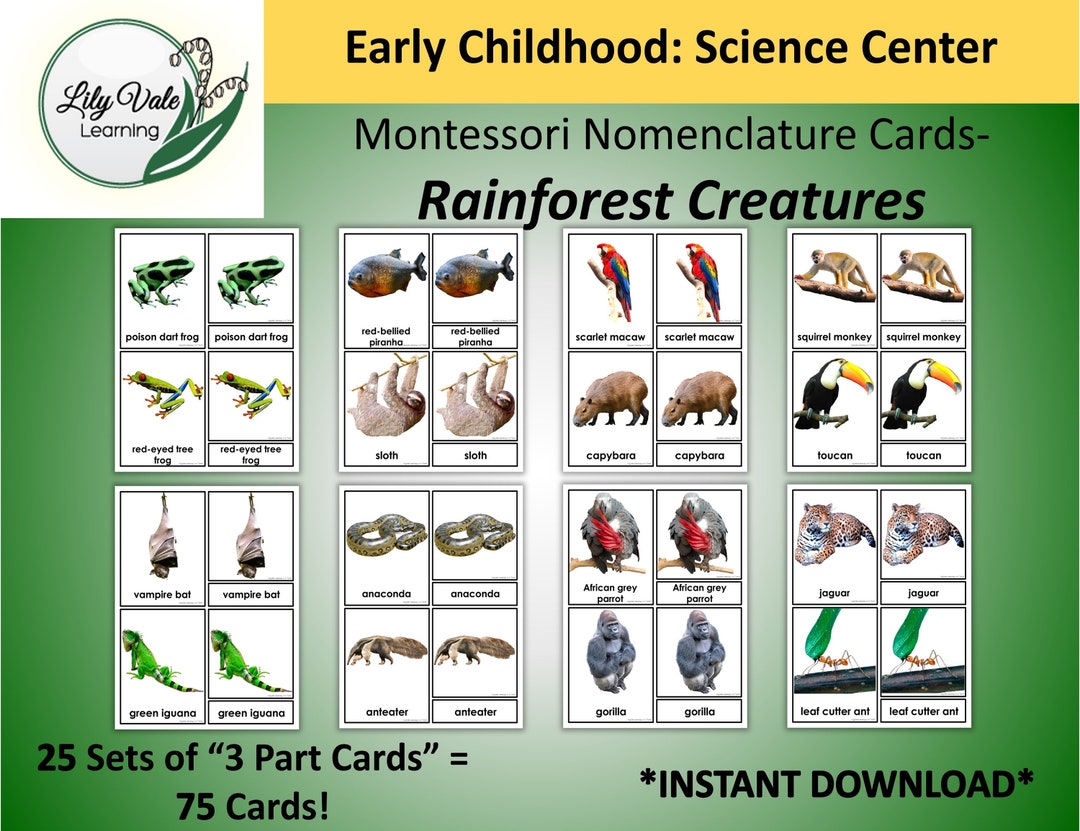 Printable Flashcards, JUNGLE Animal Cards, Montessori Flashcards ...