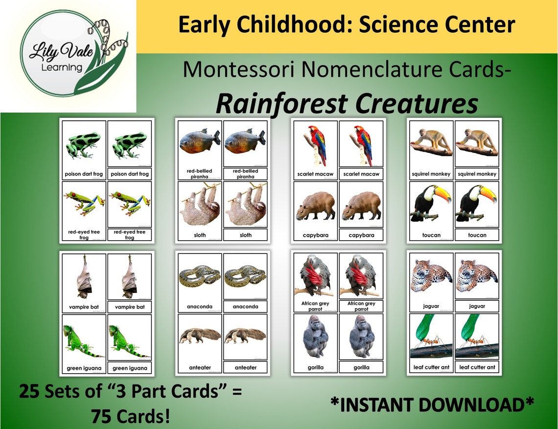 Printable Flashcards, JUNGLE Animal Cards, Montessori Flashcards ...